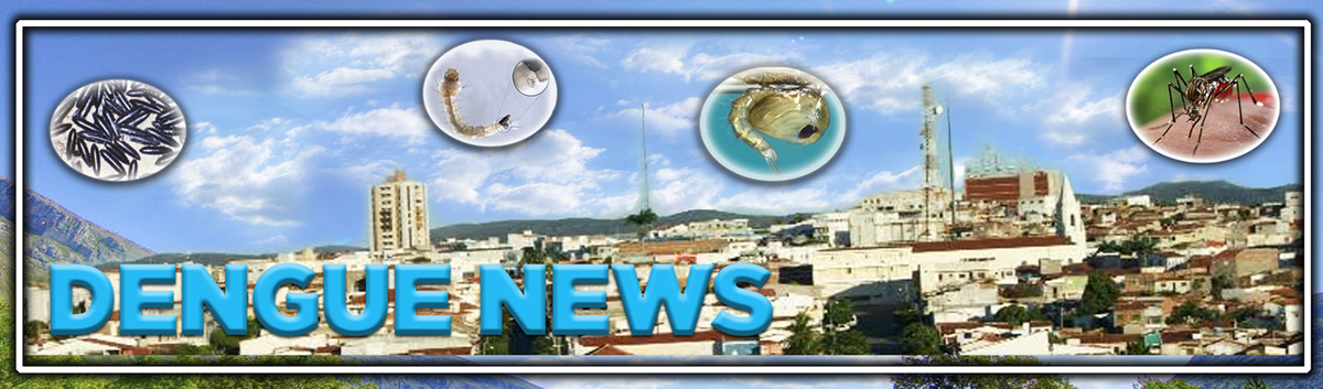Dengue News