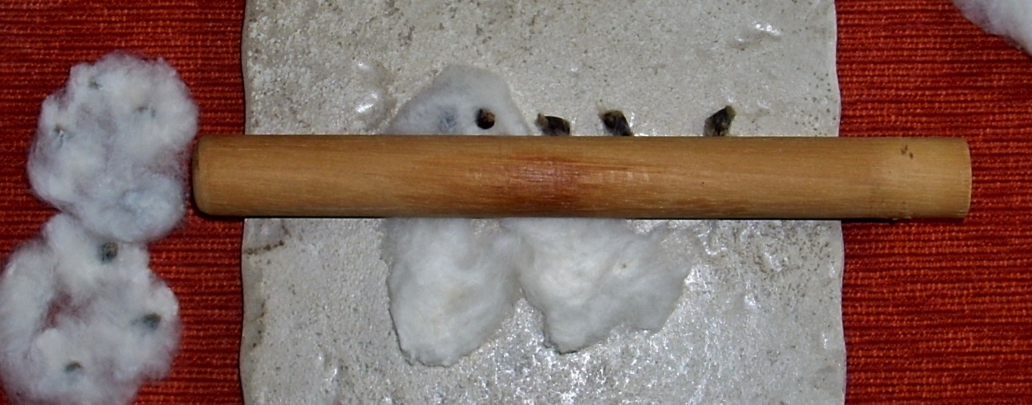 HeartSong Studio: Ginning Cotton by Hand