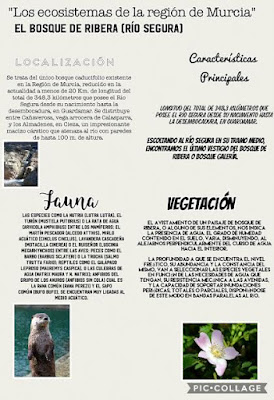 BIOLOGÍA Y GEOLOGÍA 1ESO EXXI - IES MAR. BAQUERO: Ecosistemas de la ...