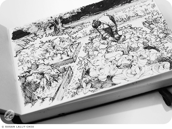 Little Sunny Studio: Pen & Ink: Garden Sketch