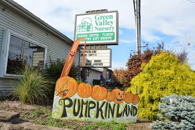 The Wiccan Life: Pumpkinland!