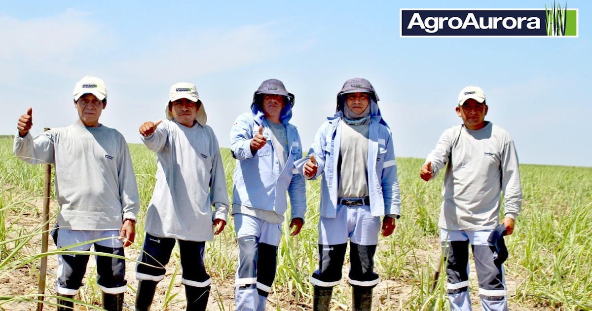 AGROAURORA S.A.C. agroaurorasac.blogspot.com