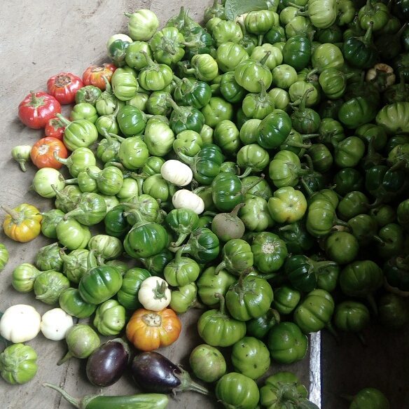 MIZO CHAWHMEH (MIZO Dishes/Curry/Cuisine) | TIMES OF MIZORAM