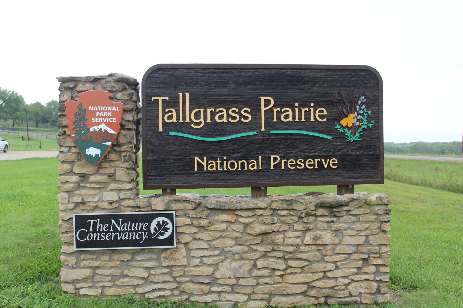 Seeing our National Parks : Tall Grass NPRES