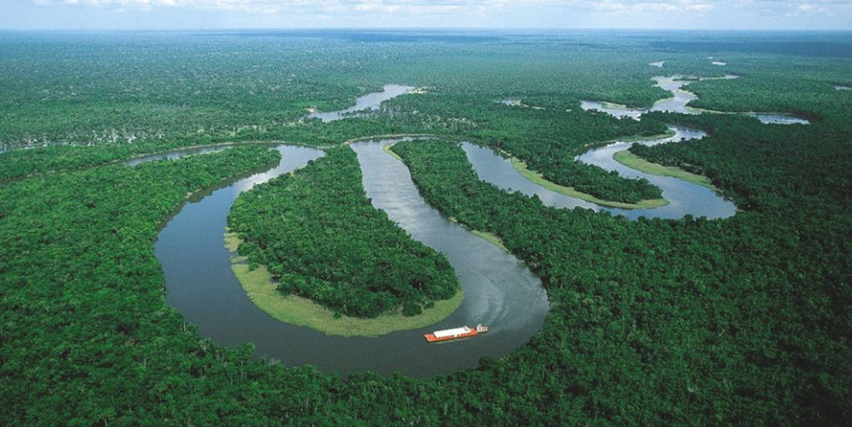 10 Fakta Menarik Tentang Amazon: Hutan Hujan Terbesar Dunia - News & Tips