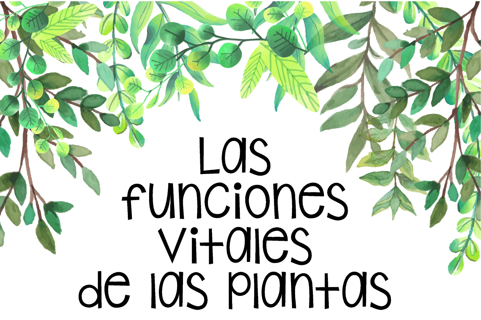 Las funciones vitales de las plantas - Seamos escuela