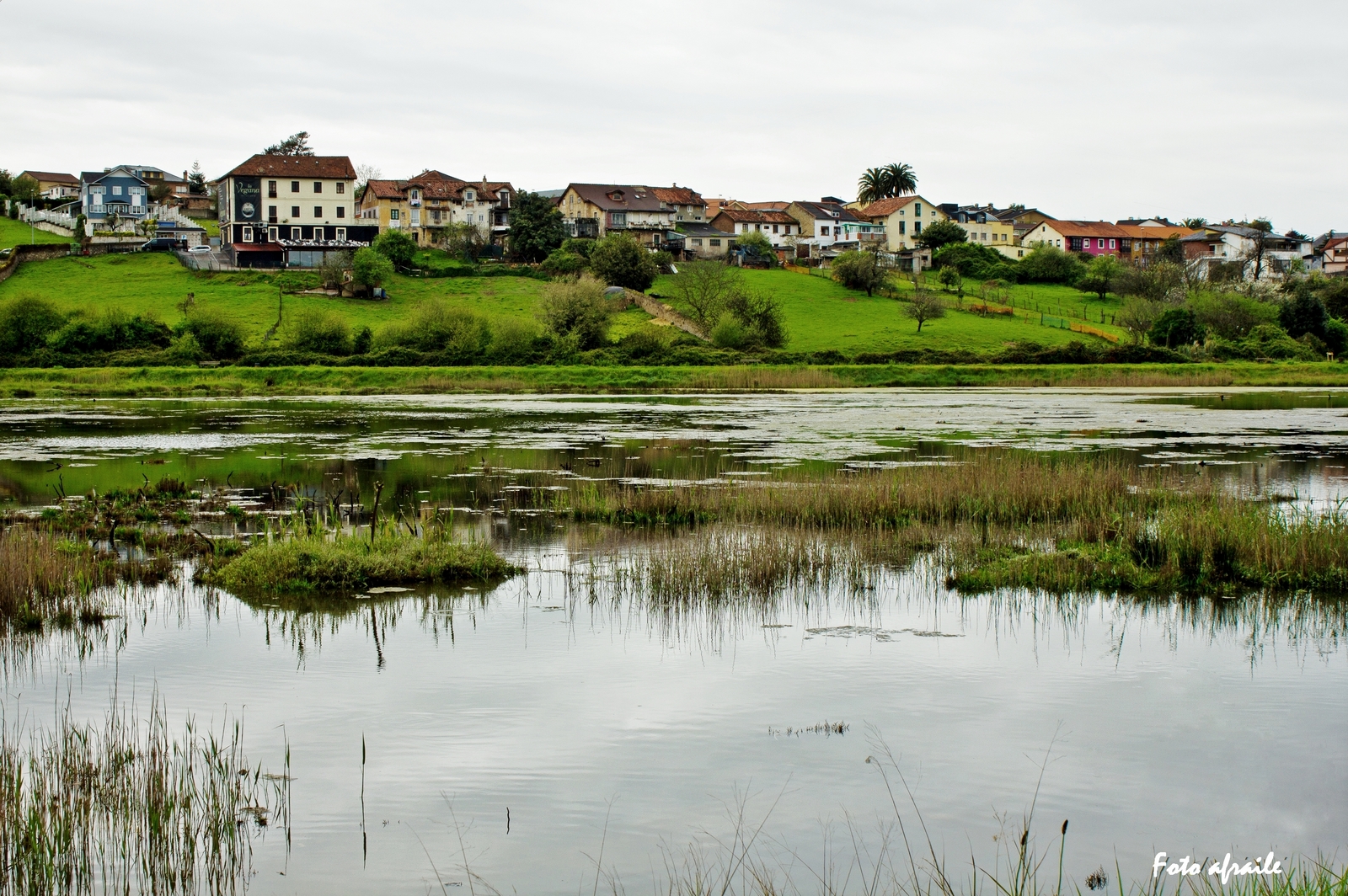 Foto afraile: GUARNIZO (El Astillero). Marismas Blancas.