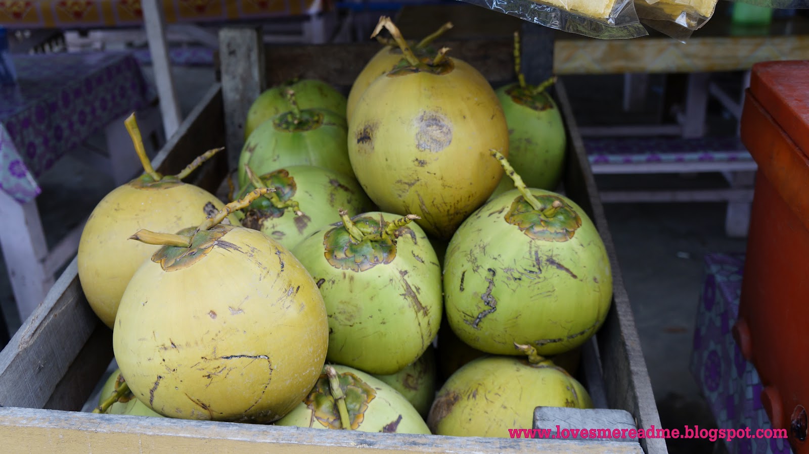 ♥My Story@LovesMeReadme♥: Seashell dish baked , young coconut water ...