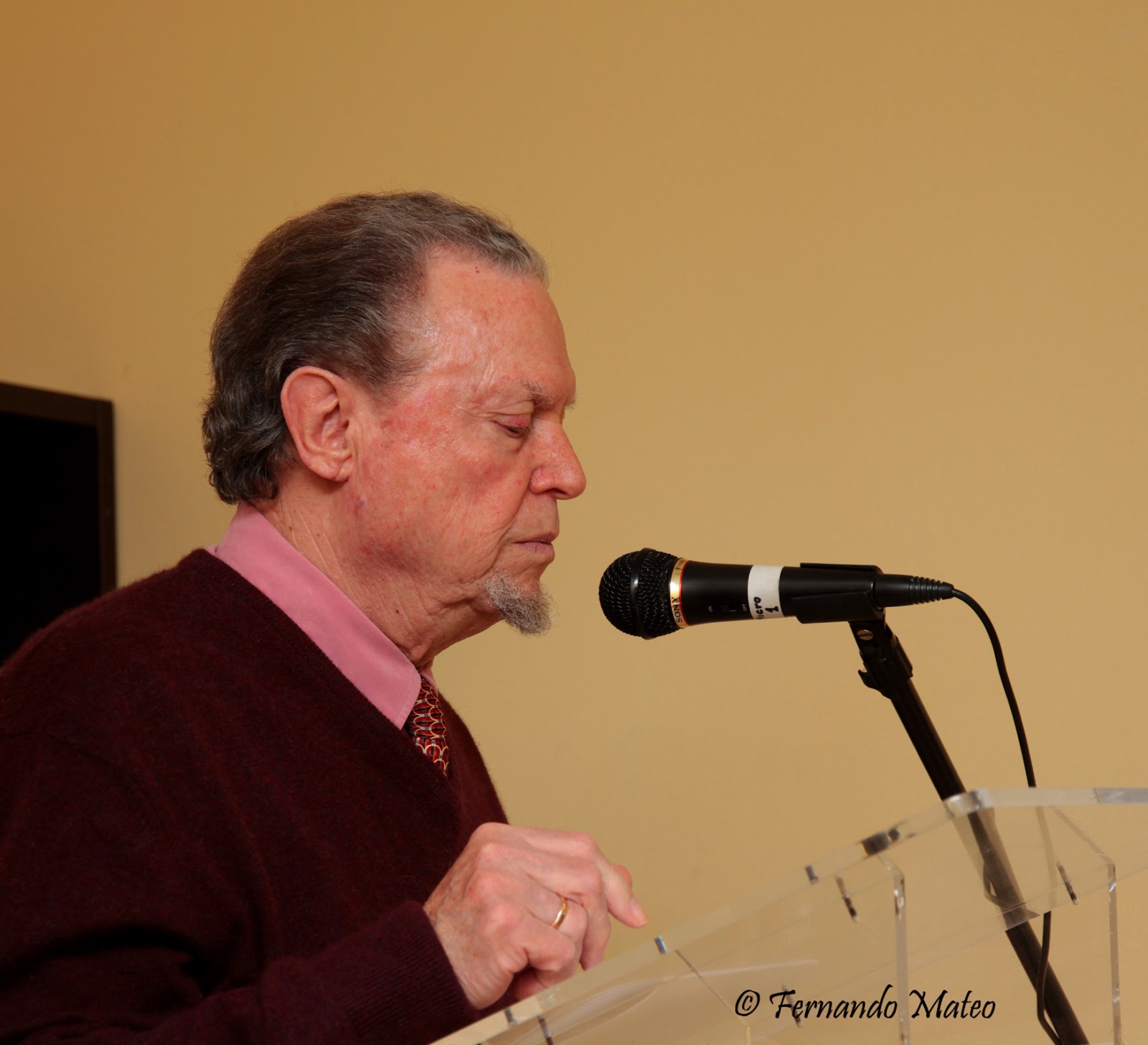 ASOCIACIÓN DE ARTISTAS ALICANTINOS: CRISTINA RUERA Y PIERRE AZZOPARDI ...