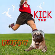 The ROFLCOPTER: Puppy kick