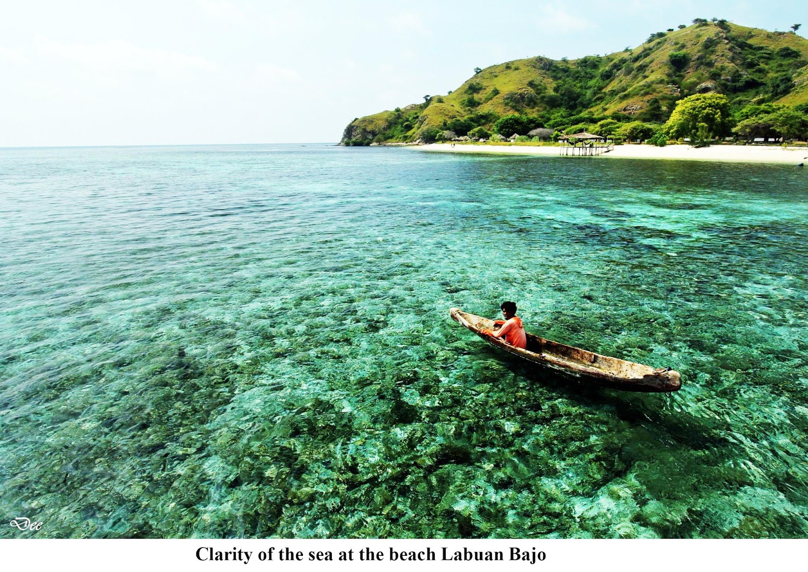 The Beauty Landscape of Indonesia: The Great 20 Beautiful Scenary from ...