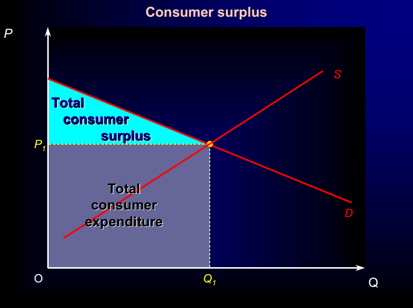 Economics A Levels: ENTRY AND EXIT OF FIRMS