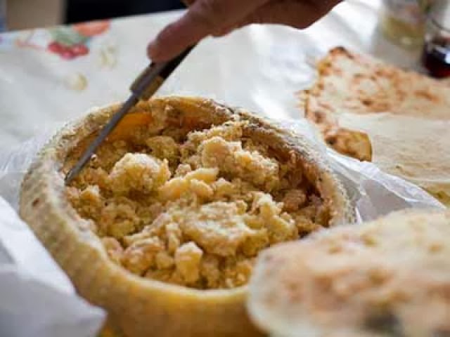 PLANETA MUERTO: Queso con larvas de moscas vivas(Imágenes y video)