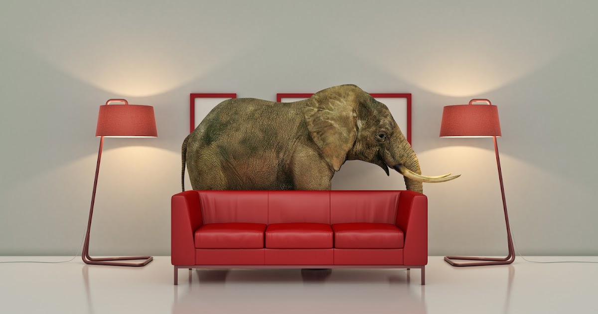 Alcohologist.com: Alcohol: America’s elephant in the room