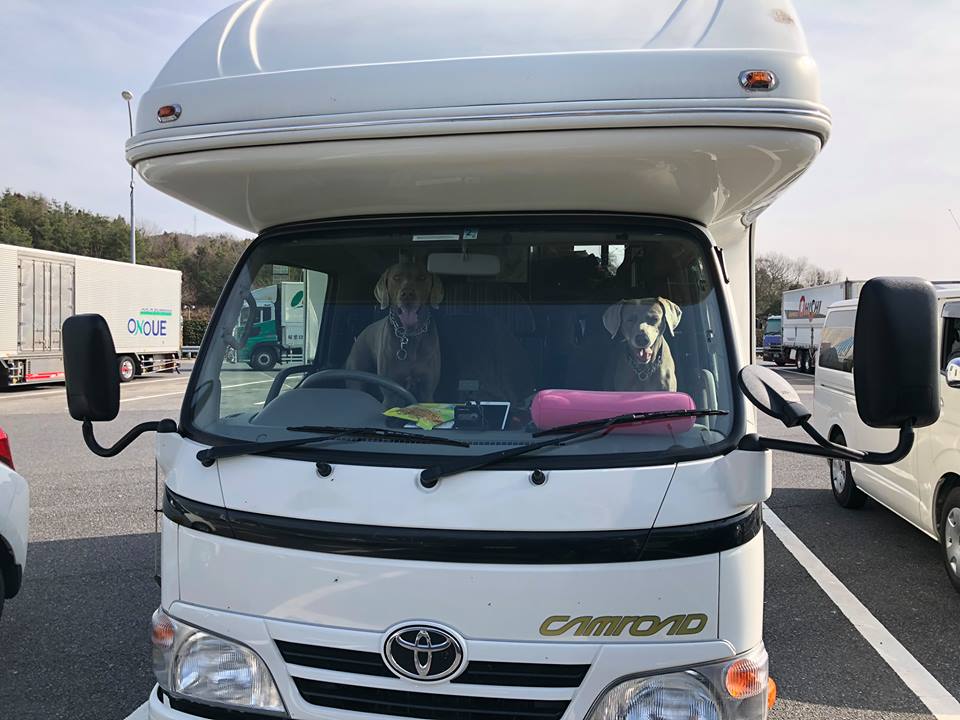 Campervan Rental in Kyushu, Japan: An RV spin from Fukuoka to Shikoku ...