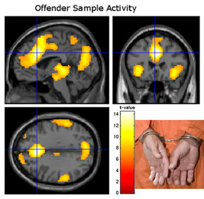 The Neurocritic: Can Brain Activity Predict Criminal Reoffending?