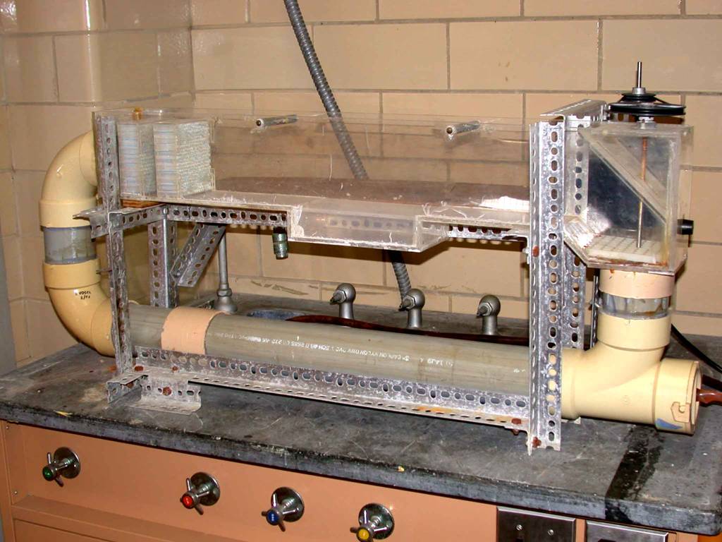 Scientist, Steven Vogel has died.