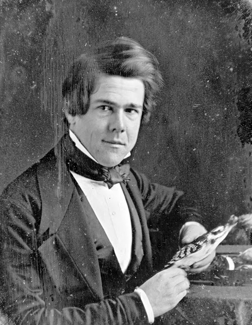 The Portrait Gallery: Samuel Woodhouse