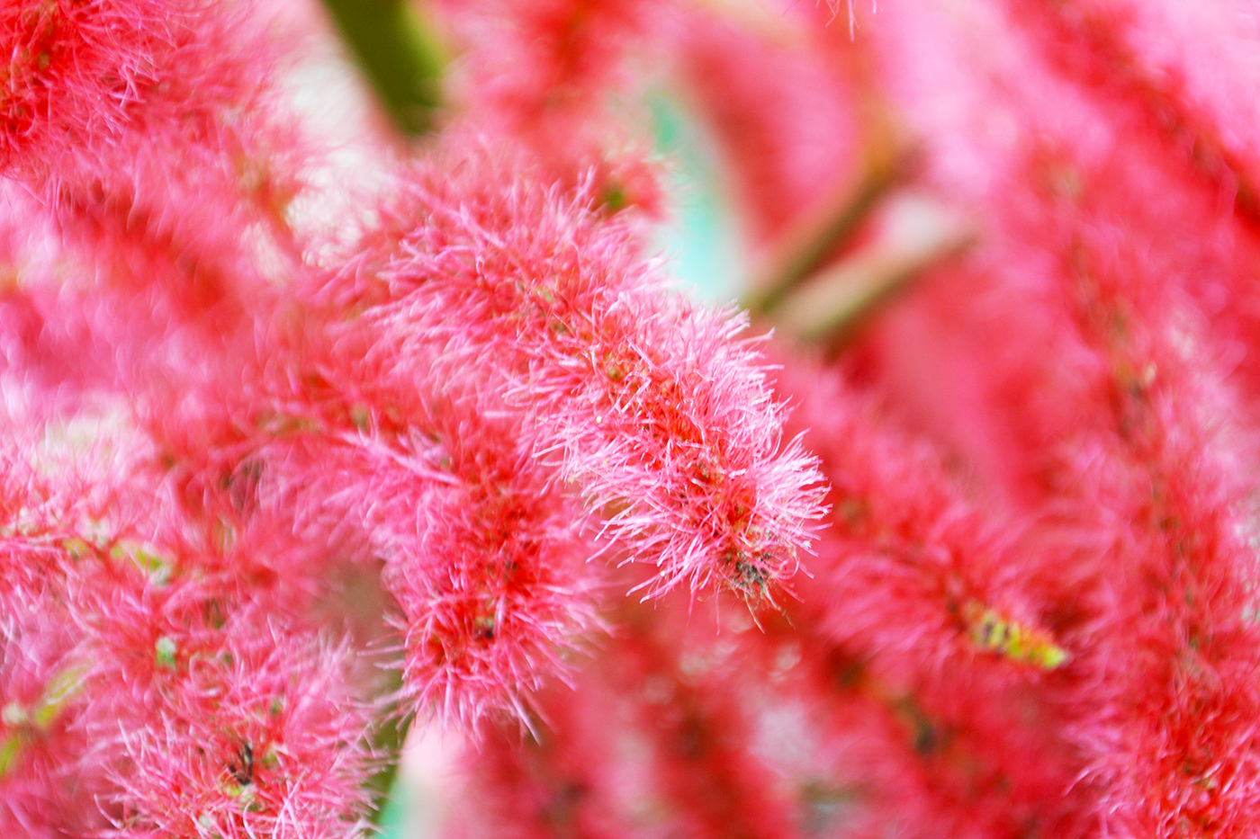 By Elisabeth: juuli 2016