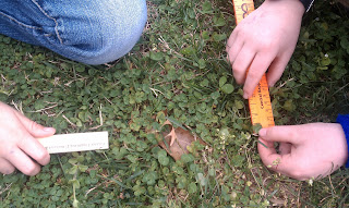 Science Gal: How do you recognize parts of an inch?