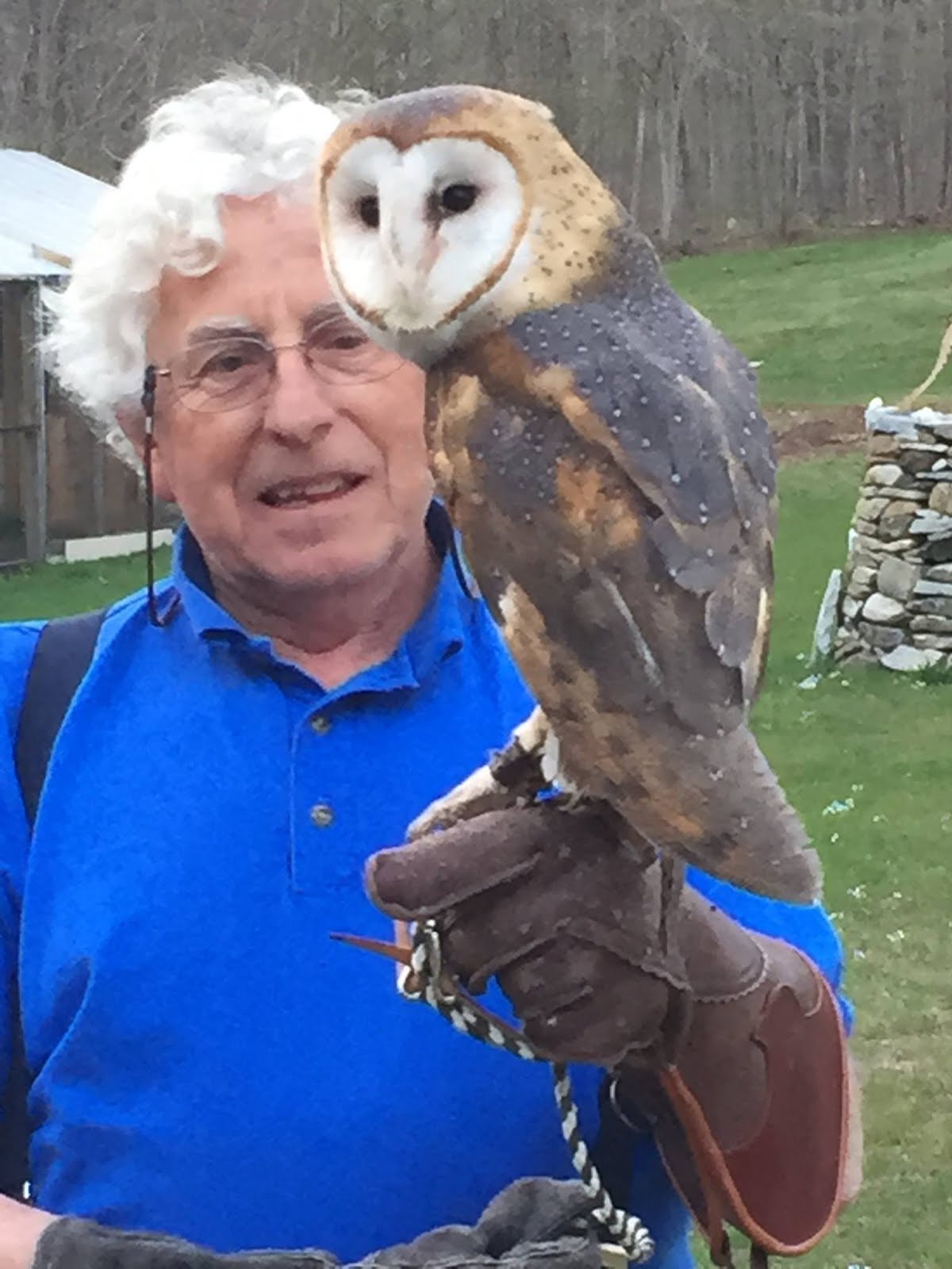 hidden experience: Colin Andrews and an owl