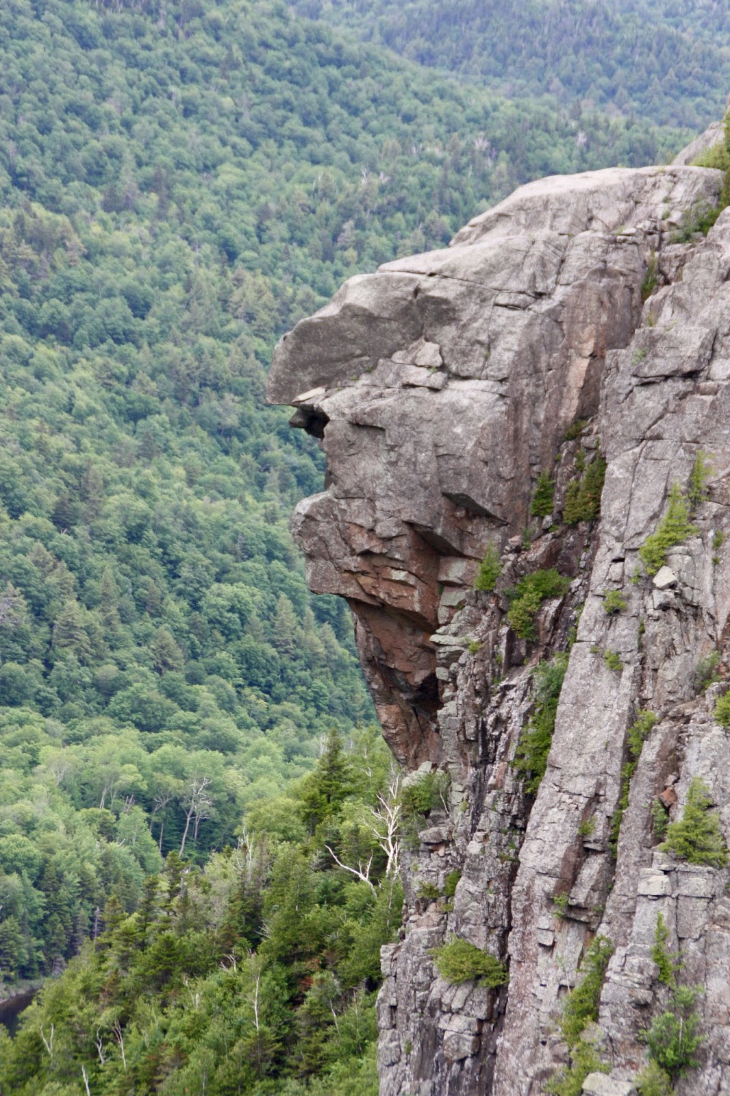 Savich Trek: HIKING FISH HAWK CLIFFS & INDIAN HEAD