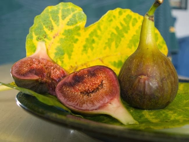 El Jardín de Judith: EL HIGO, FRUTA SANA Y SEXUAL.