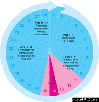 Tips Mengenai Kitaran Haid & Waktu Subur ~ Little Rafa