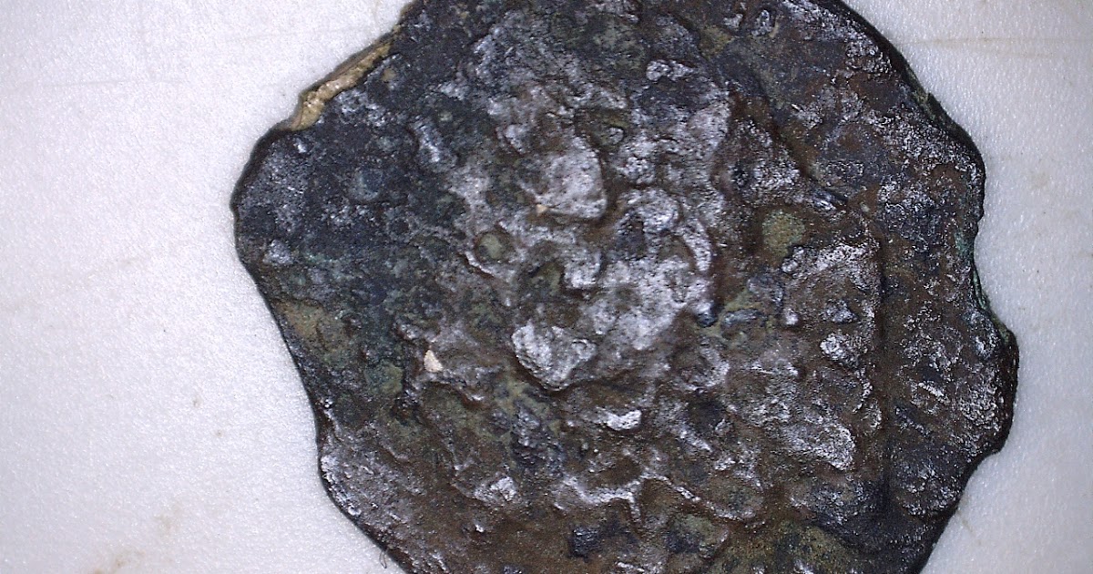 The Treasure Beaches Report Direct From Florida's Treasure Coast.: 8/3 ...