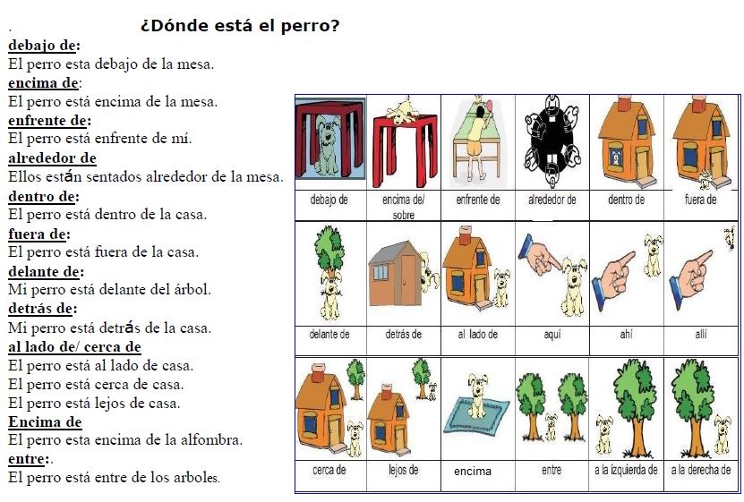 INICIACION AL ESPAÑOL : ¿Dónde está perro?