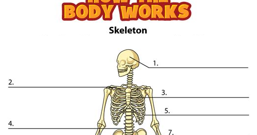 The City School: Science Grade 4 Worksheets