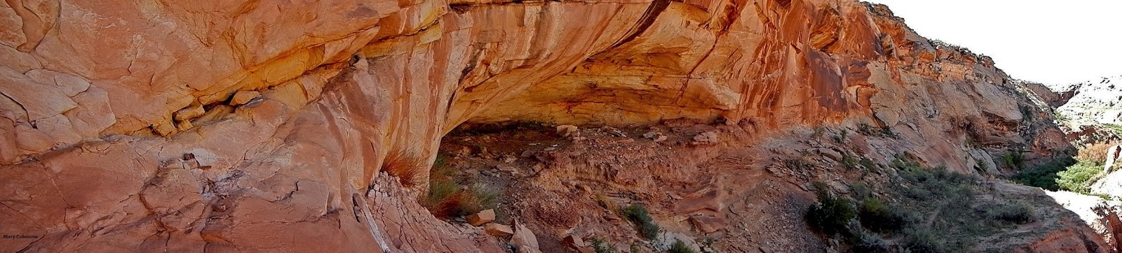 The Southwest Through Wide Brown Eyes: Wolfman Panel and Ruins - Comb ...