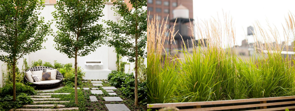 METRONOME: Planted Terraces : an introduction