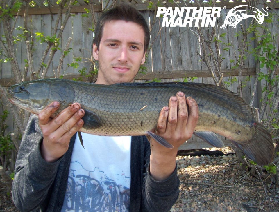 all species fishing: panther martin trophy fish of the week contest
