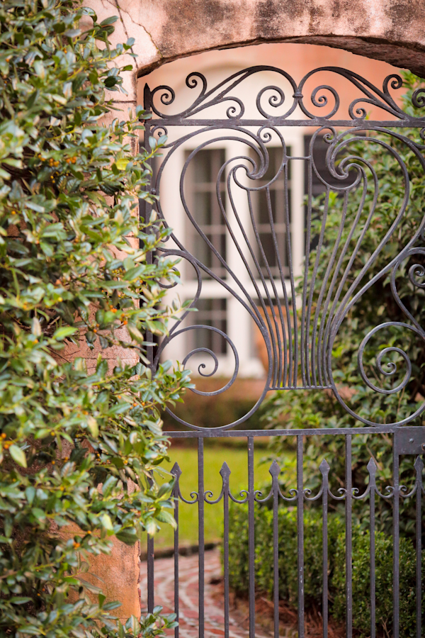 Doug's Photo Blog: Passing Fancy