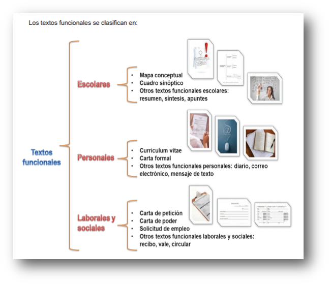 Conoce la utilidad de los textos escolares: ejemplos para ampliar tu ...