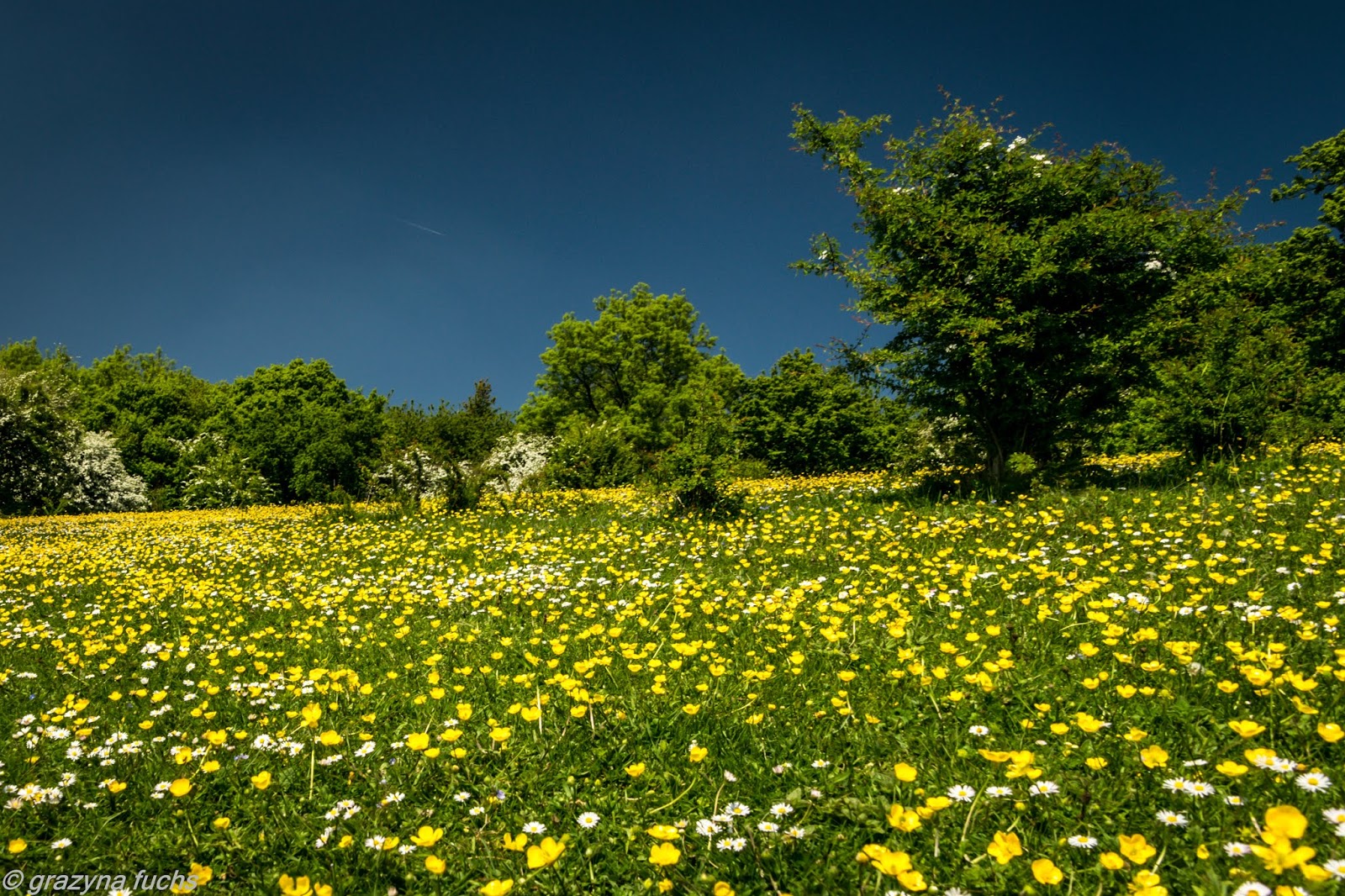 Enjoy your time with beautiful places: Reigate & Colley Hill