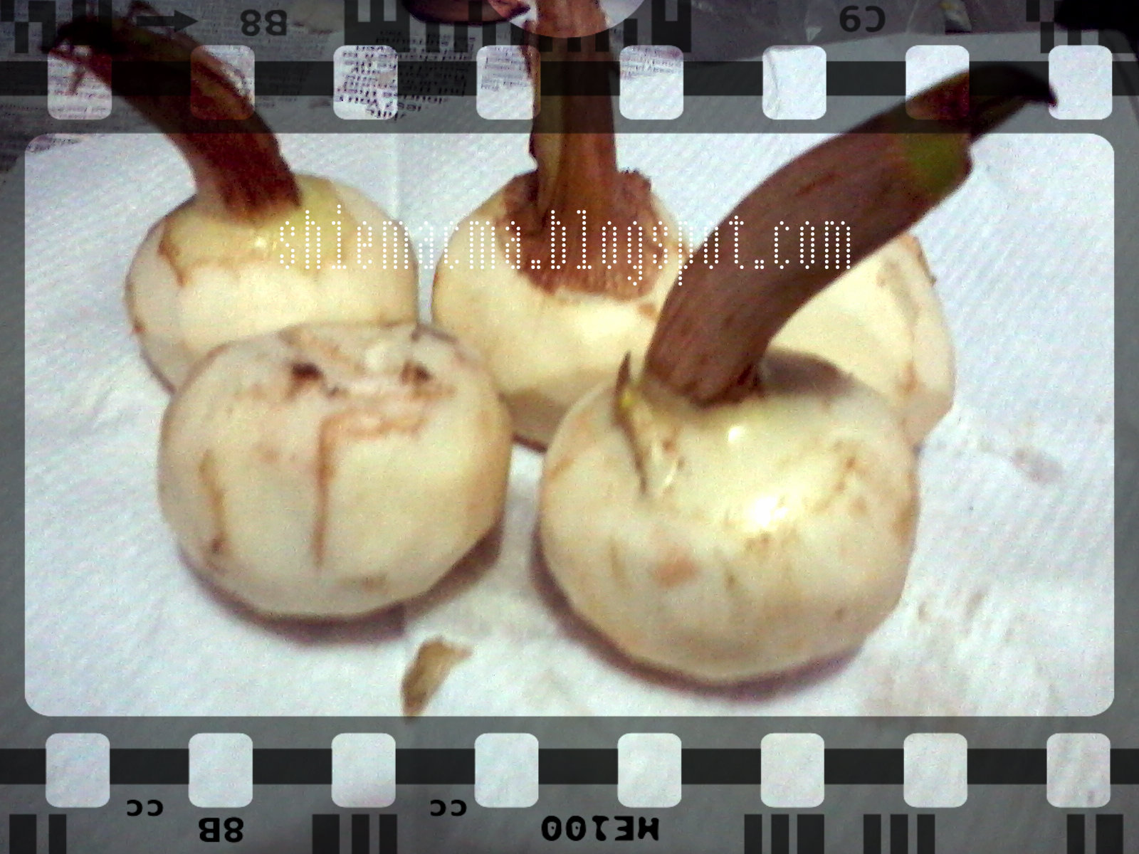 ♥CMa786♥: ~ Ngaku Kembali