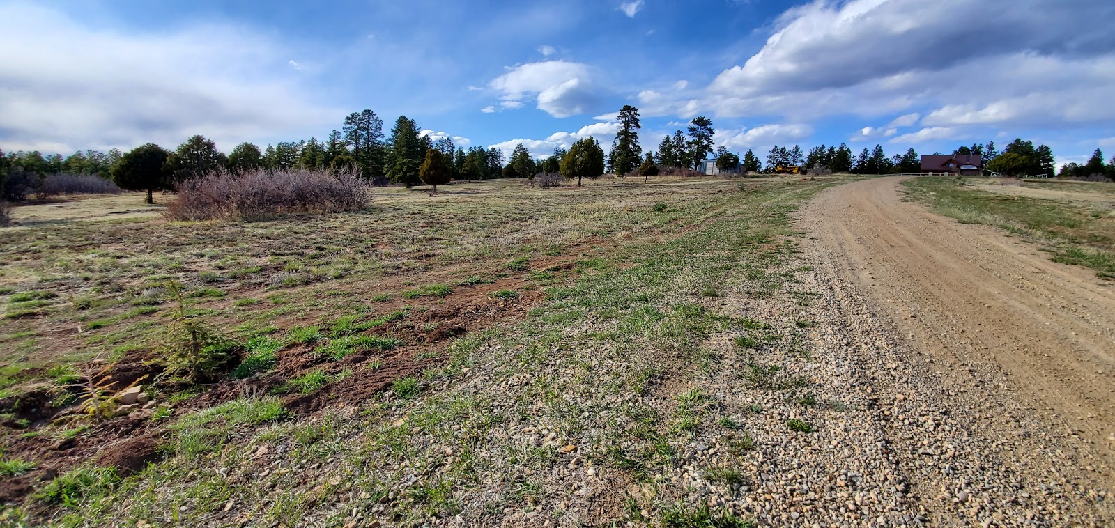 Colorado Hatch Ranch: 2020