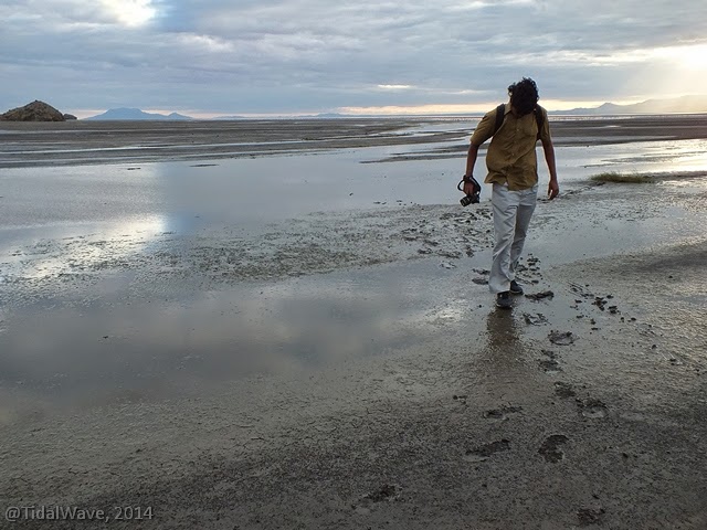 Travel and food tales: From green to gray, the stark beauty of Lake Natron