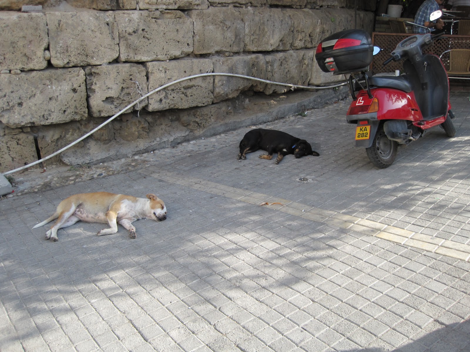 Cyprus Stamps (Republic and Turkish Cypriot), First Day Covers and more ...