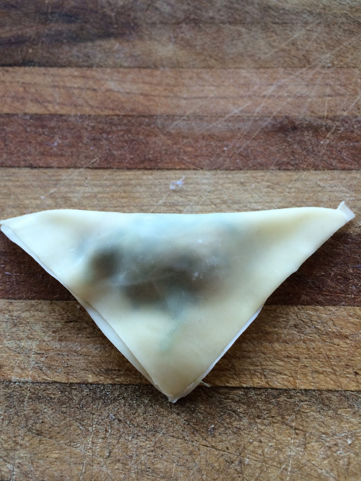 Fried Hun Tun (Won Tons)