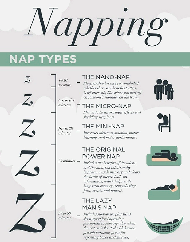 夢ちゃんのブログ: Different Types on Naps and its Effects