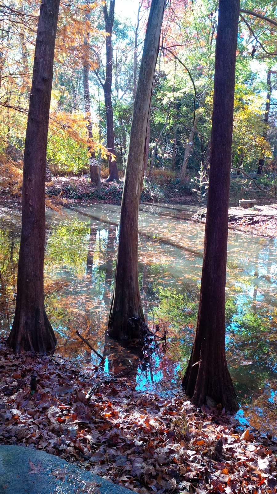 Life as a Homeschool Mom: A Beautiful Day to Walk in Nature: Hatcher ...