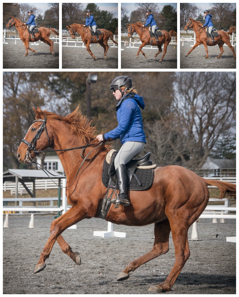 Galloping Gals and Thunderous Thoroughbreds