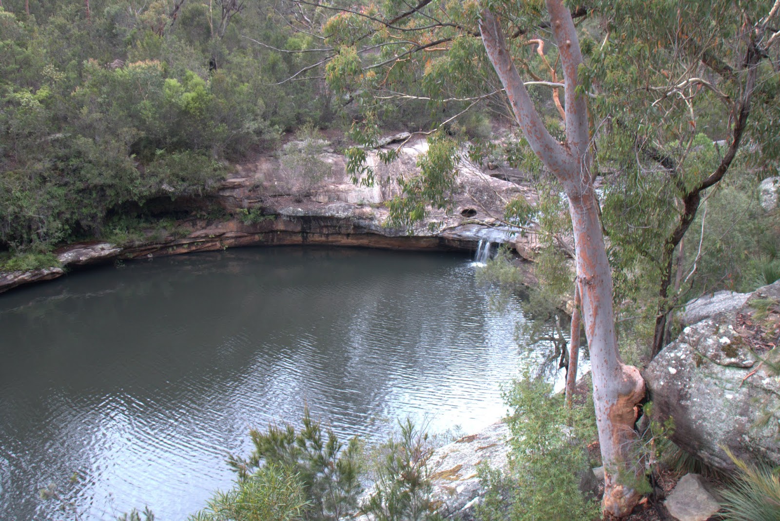 its just my life: Minerva Pool, Dharawal National Park