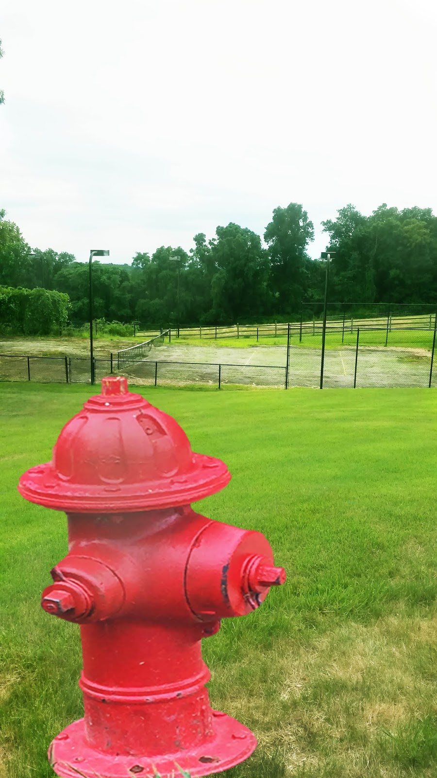 IMM 110-01 Fall 2018 (Matthew)