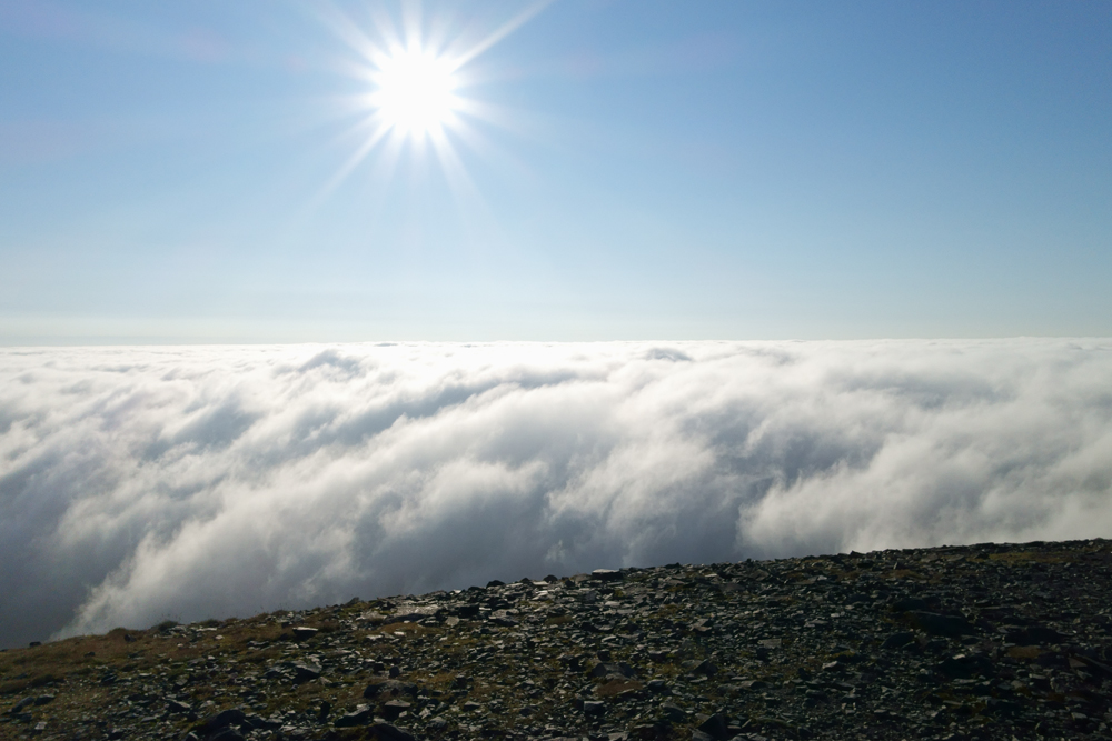 ...nothing but footprints