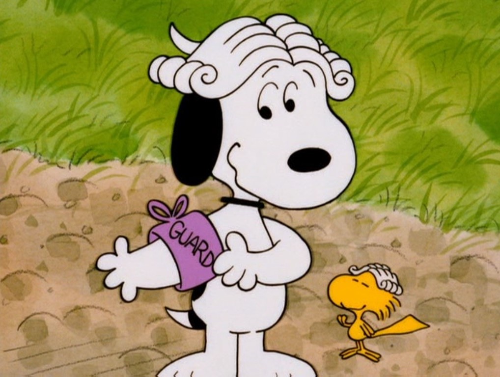 Charlie Brown's Non-Holiday Specials: This Is America, Charlie Brown ...
