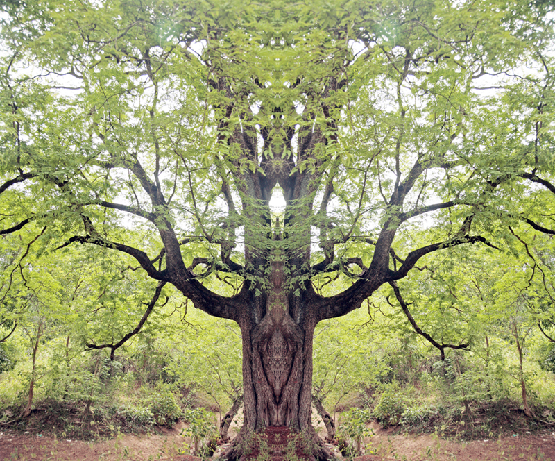 Tamilnadu Tourism: Javadi Hills, Thiruvannamalai